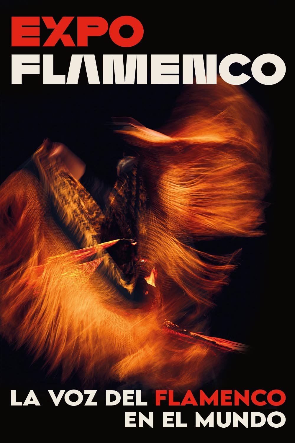 El Plan Estratégico del Flamenco recibe 630 propuestas de los agentes ...